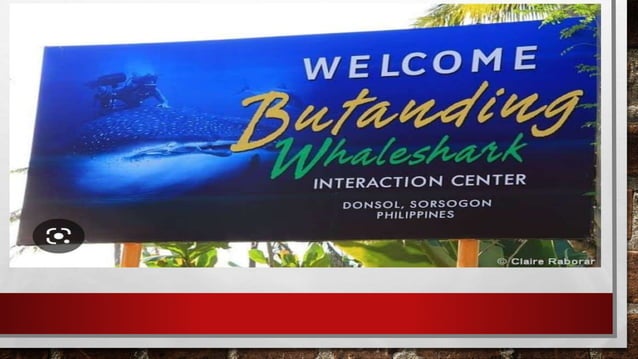 Rehiyon-5-Fil.5.pptx