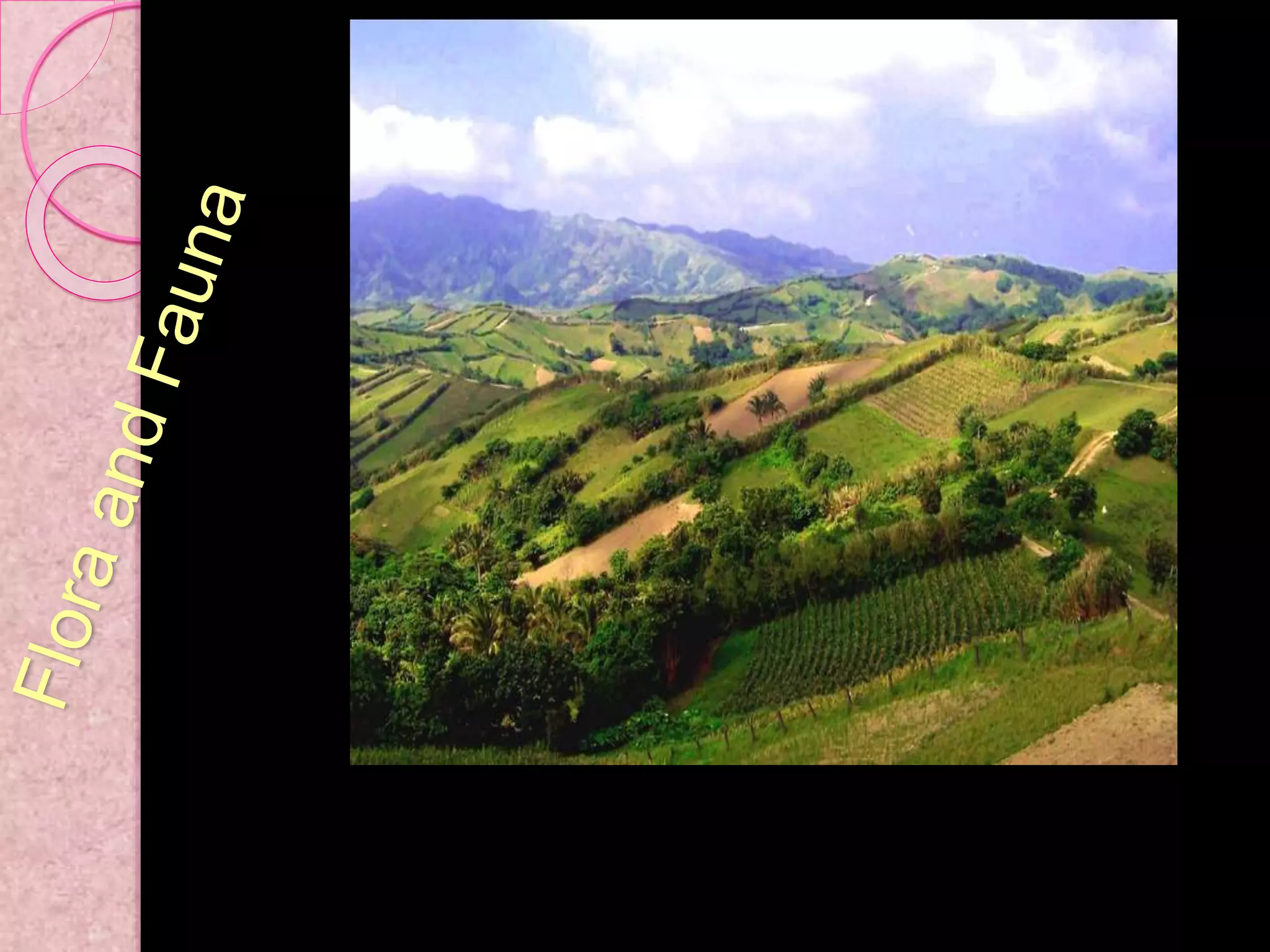 Rehiyon 2 (LAMBAK NG CAGAYAN) | PPTX