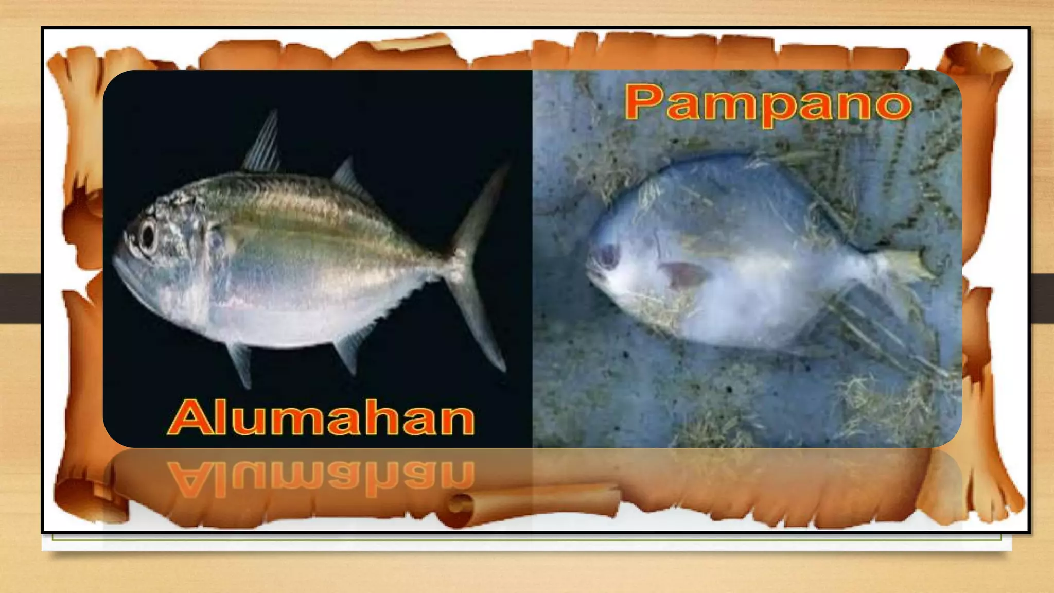 Rehiyon V:Bicol Region | PPTX