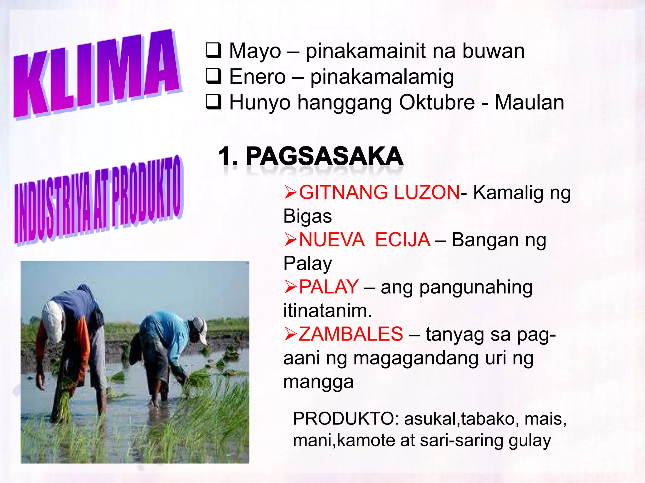 Rehiyon III- Gitnang Luzon | PPTX