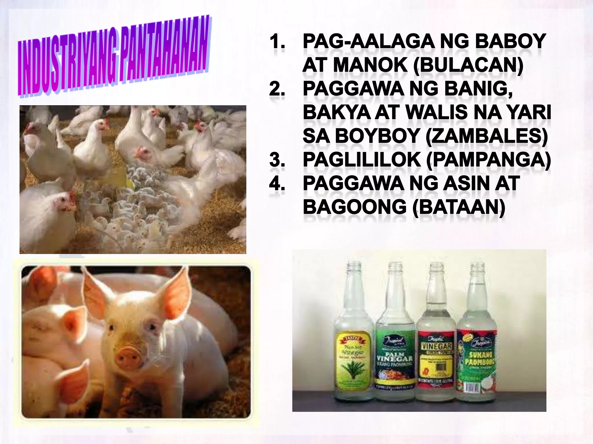 Rehiyon III- Gitnang Luzon | PPTX