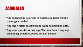 Rehiyon III: Gitnang Luzon | PDF