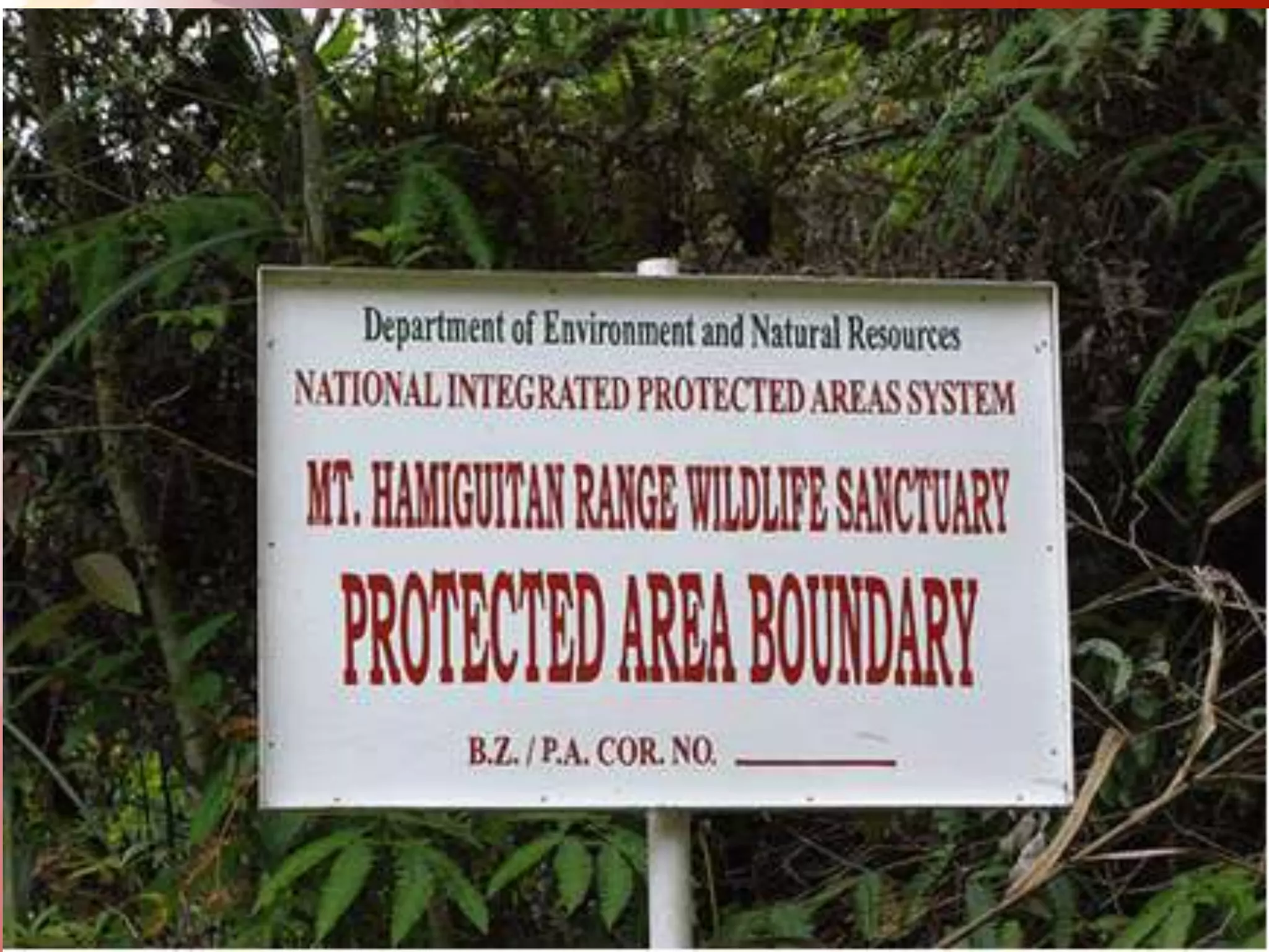 Rehiyon IV-A (CALABARZON) | PPTX