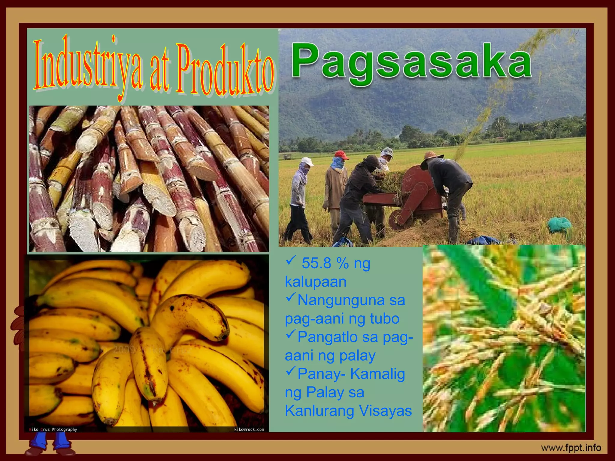 Rehiyon VI -Kanlurang Visayas | PPT