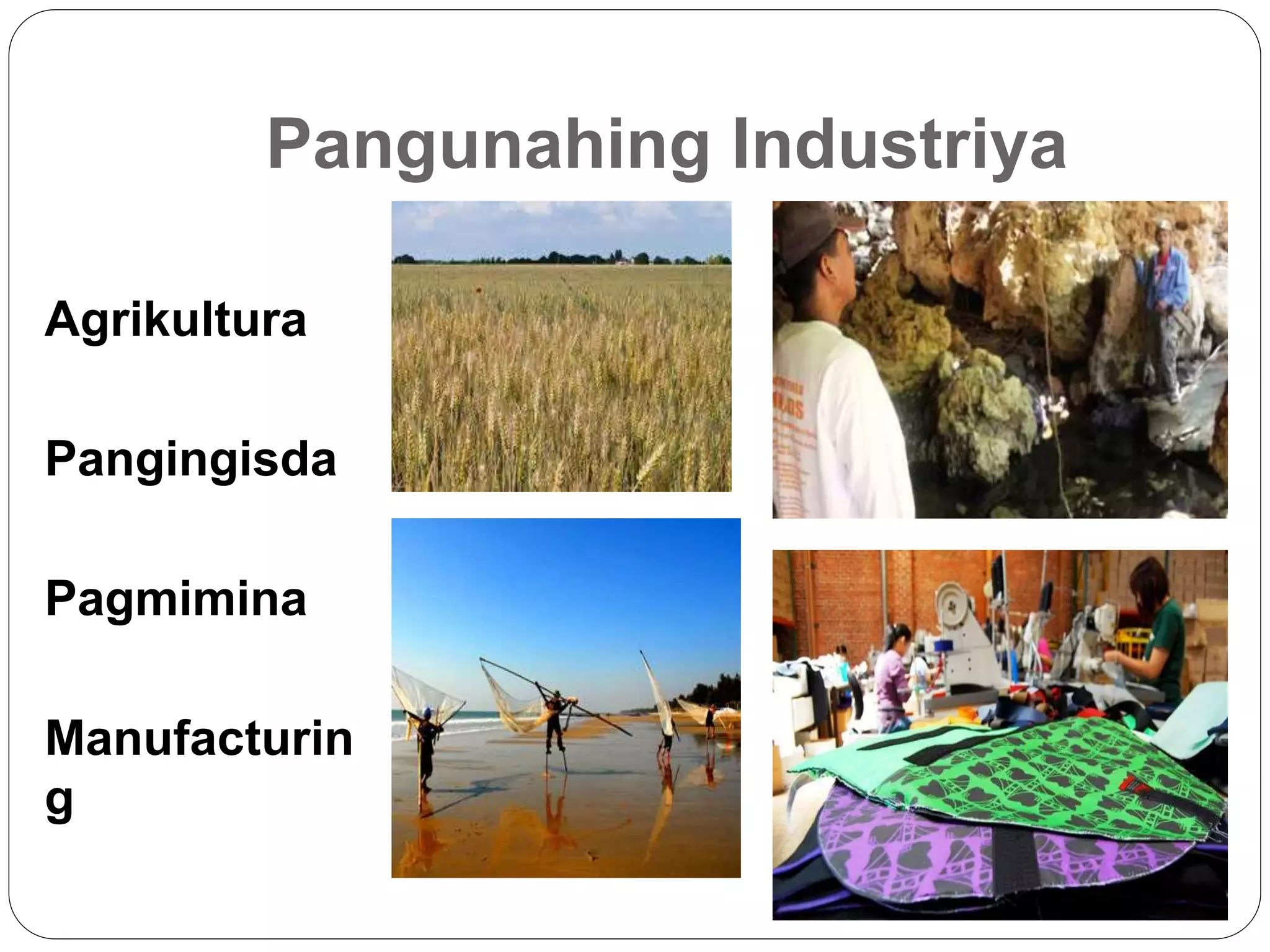 Rehiyon vii Mga Produkto at Industriya | PPTX