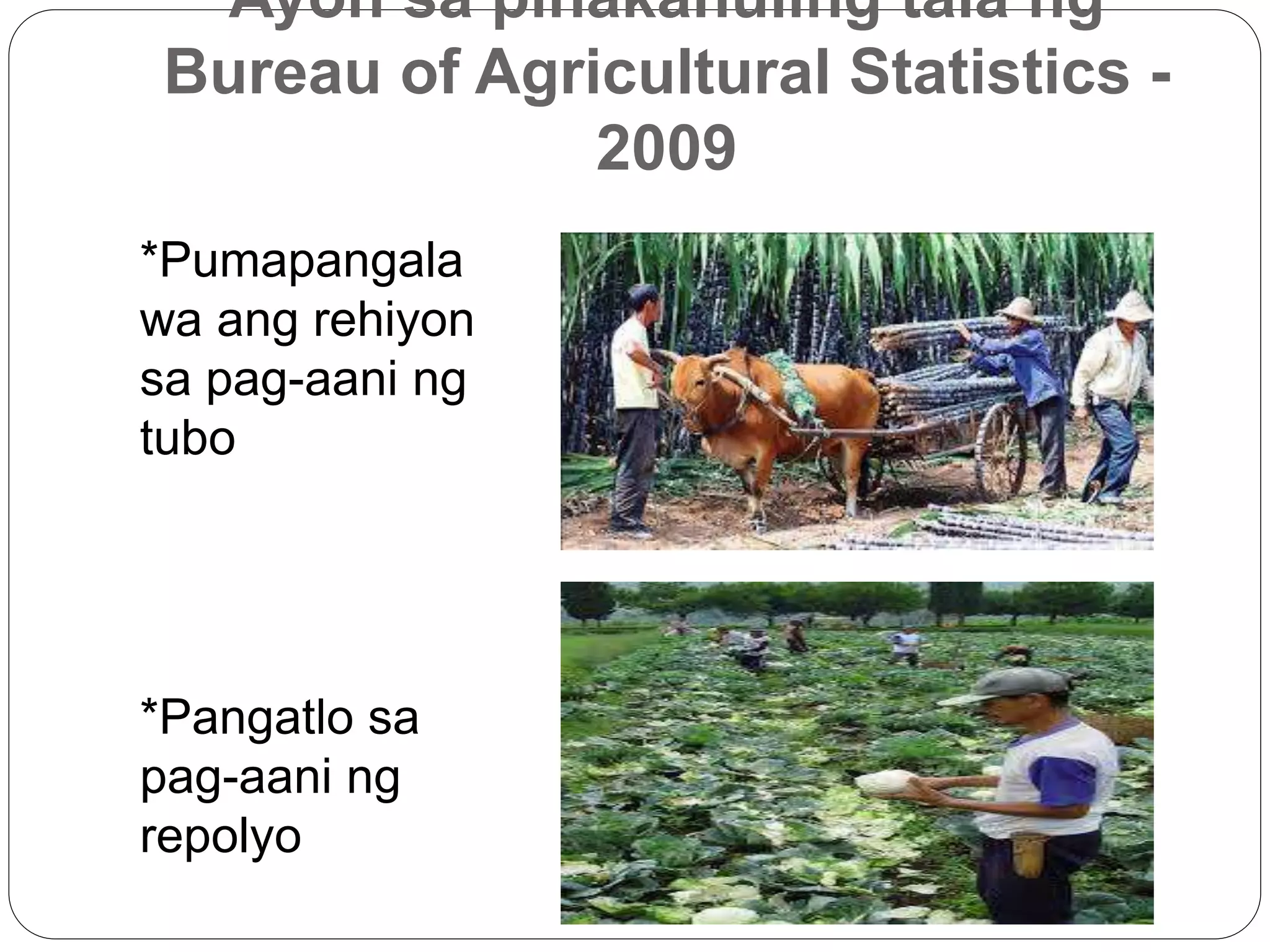 Rehiyon vii Mga Produkto at Industriya | PPTX