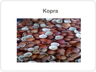 Rehiyon vii Mga Produkto at Industriya | PPTX