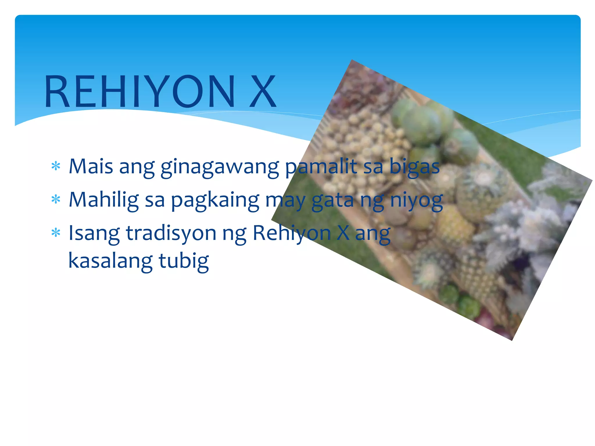 Panitikan o literatura ng Rehiyon X | PPTX