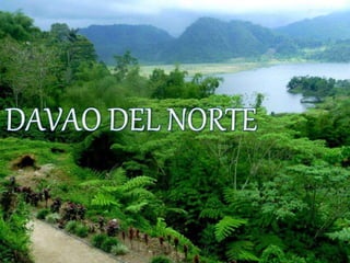 Region 11 (DAVAO REGION) | PPTX