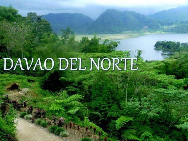Region 11 (DAVAO REGION) | PPTX