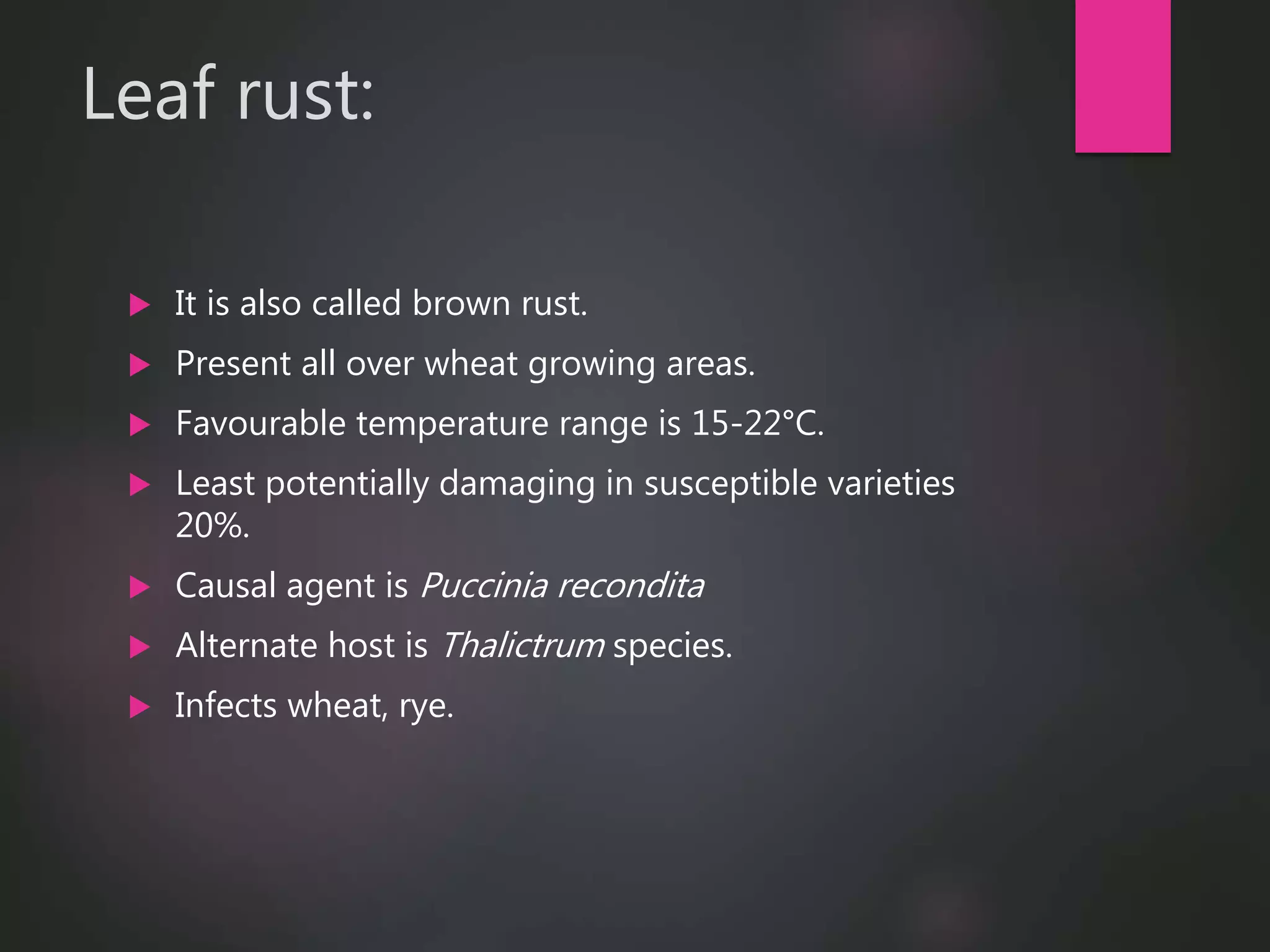 leaf rust of wheat | PPTX