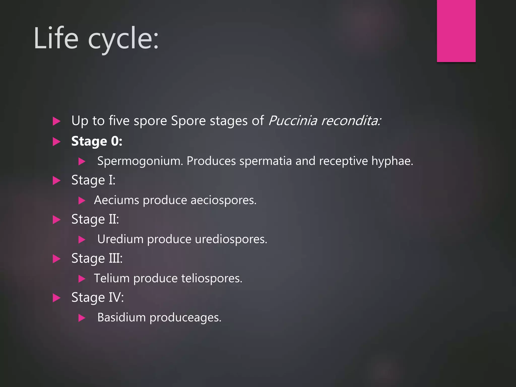 leaf rust of wheat | PPTX