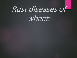 leaf rust of wheat | PPTX