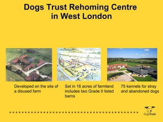 Rehoming | PPT