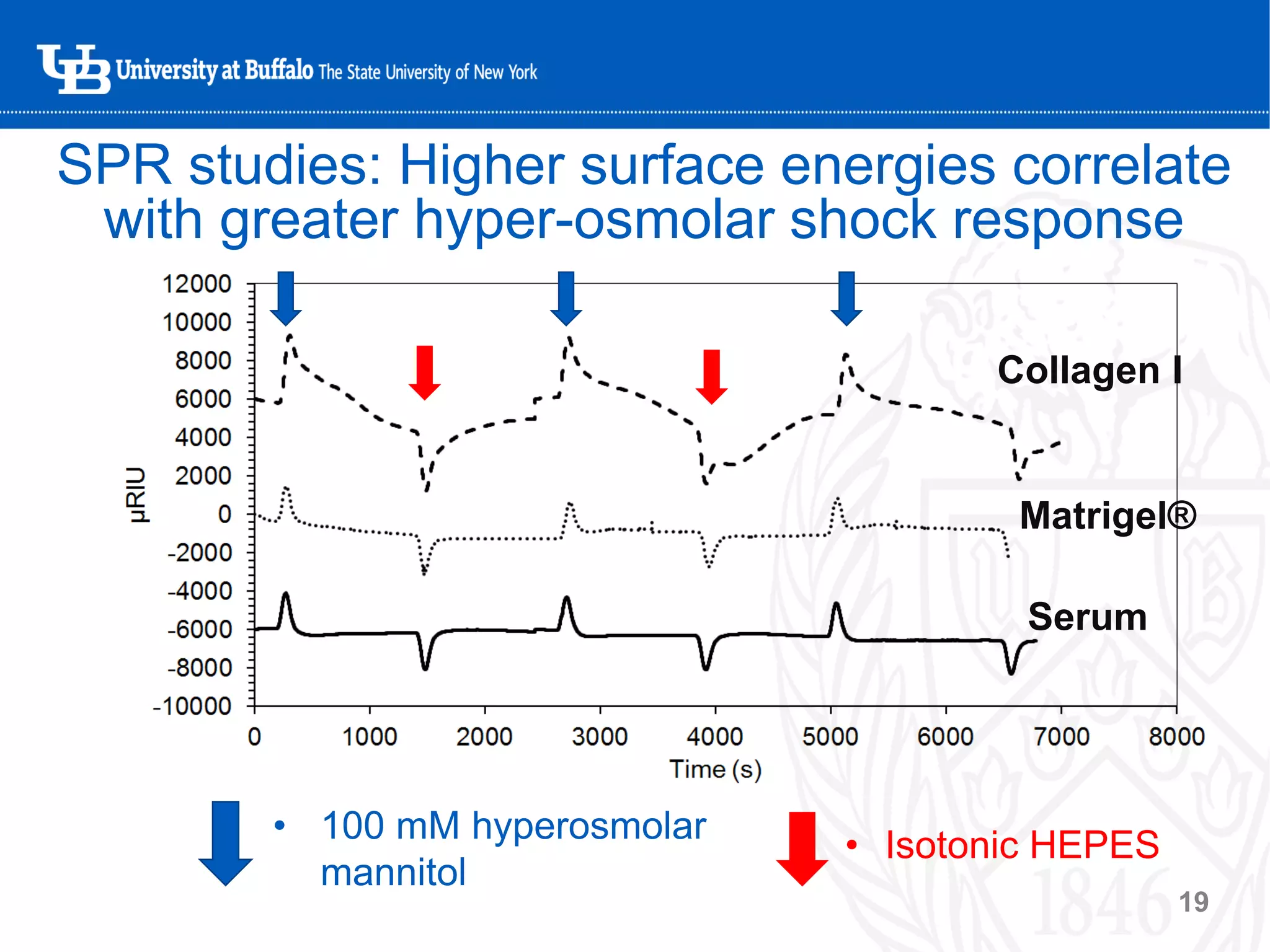 Use of Surface Plasmon Resonance for Probing Cell-Matrix Interactions | PDF | Chemistry | Science