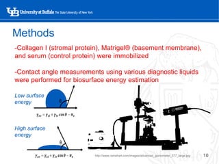 Use of Surface Plasmon Resonance for Probing Cell-Matrix Interactions | PDF