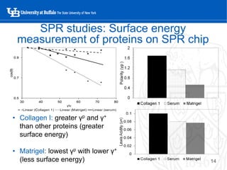 Use of Surface Plasmon Resonance for Probing Cell-Matrix Interactions | PDF