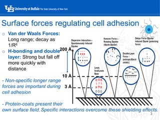 Use of Surface Plasmon Resonance for Probing Cell-Matrix Interactions | PDF