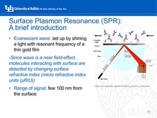 Use of Surface Plasmon Resonance for Probing Cell-Matrix Interactions | PDF