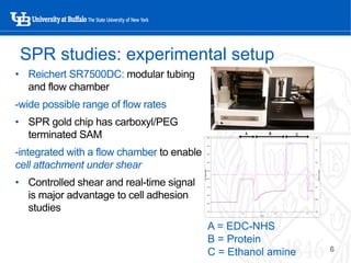 Use of Surface Plasmon Resonance for Probing Cell-Matrix Interactions | PDF