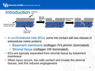 Use of Surface Plasmon Resonance for Probing Cell-Matrix Interactions | PDF