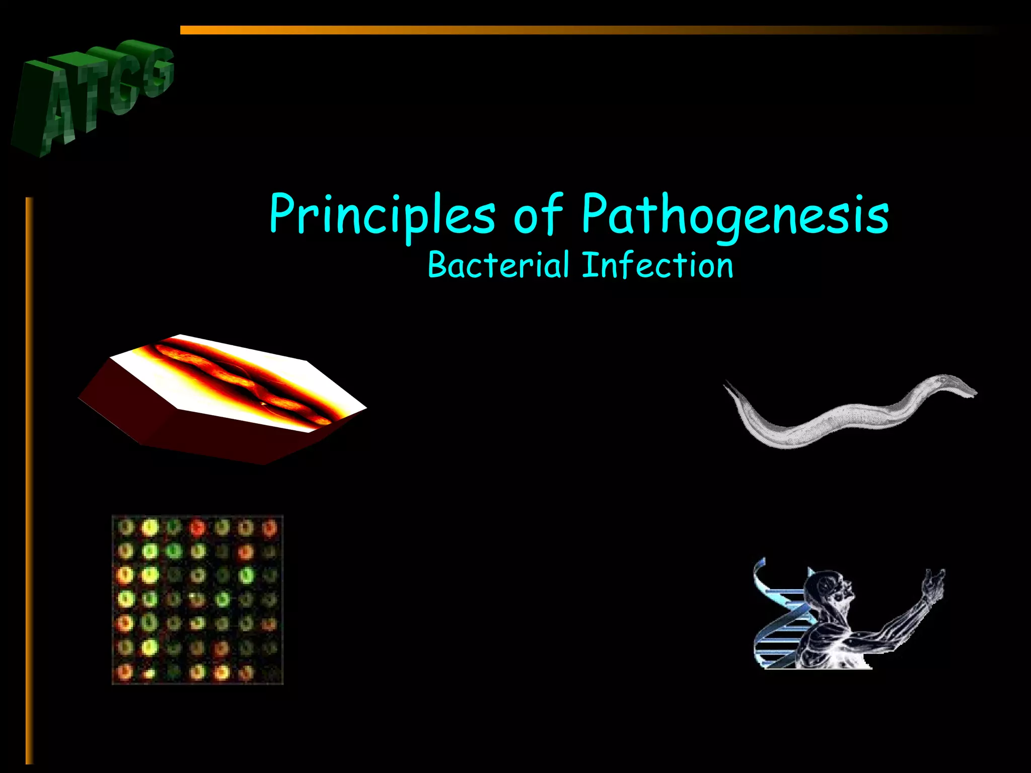 [Micro] pathogenesis | PPT