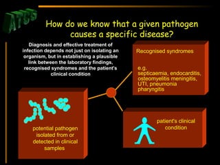 [Micro] pathogenesis | PPT
