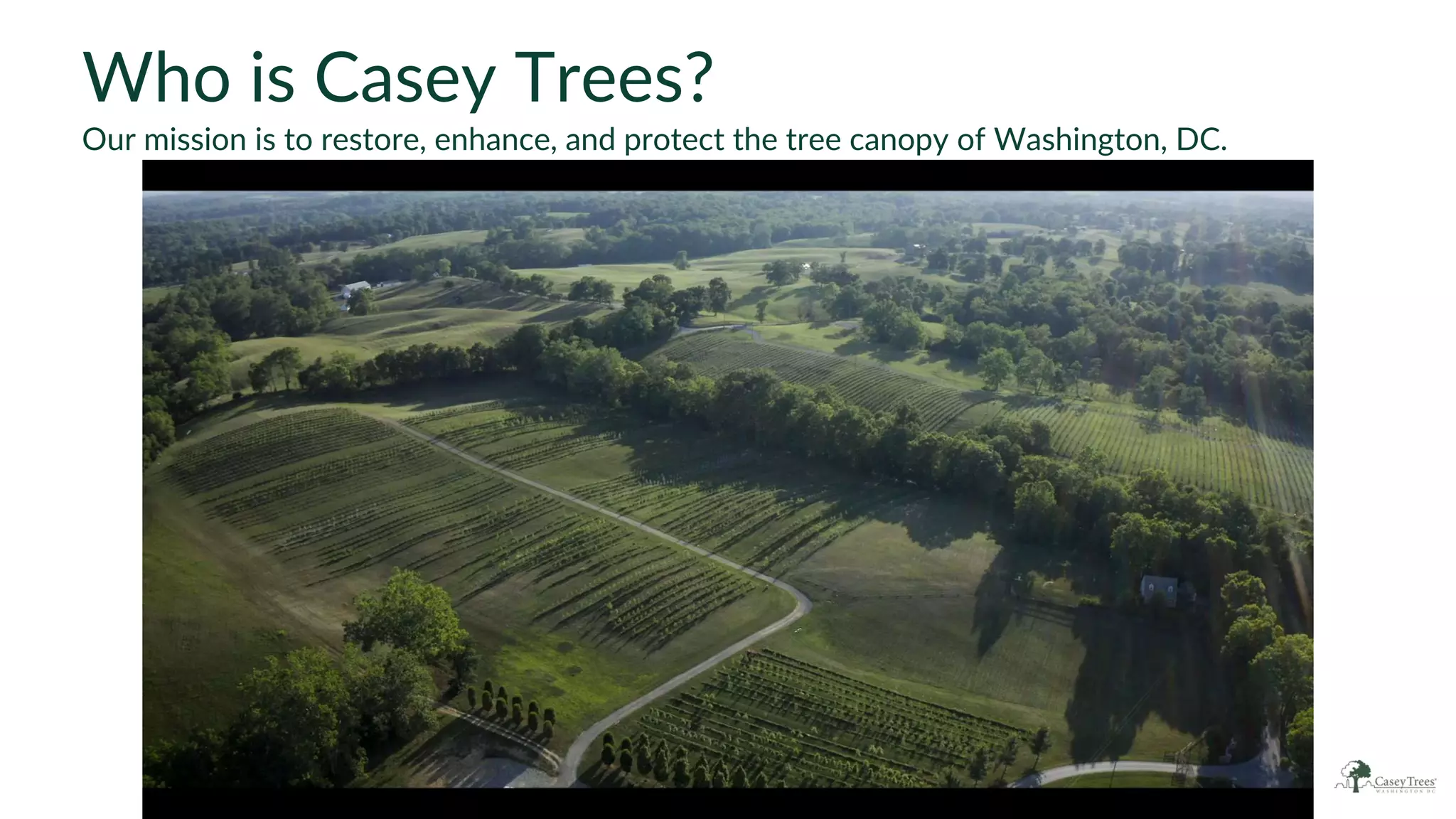 DC State Nursery at Casey Tree Farm: Partnerships and Production ...