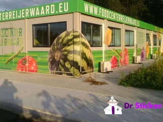 Reijerwaard | PPTX