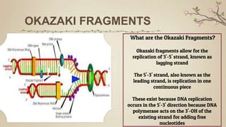 Reiji okazaki | PPTX