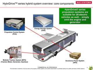 Reilly bae presentation | PPT