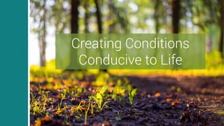 Reimagining the Future: Designing a Regenerative Society | PDF