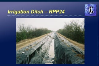 Reinforced Polypropylene (RPP) and Reinforced Polyethylene (RPE) Liner ...