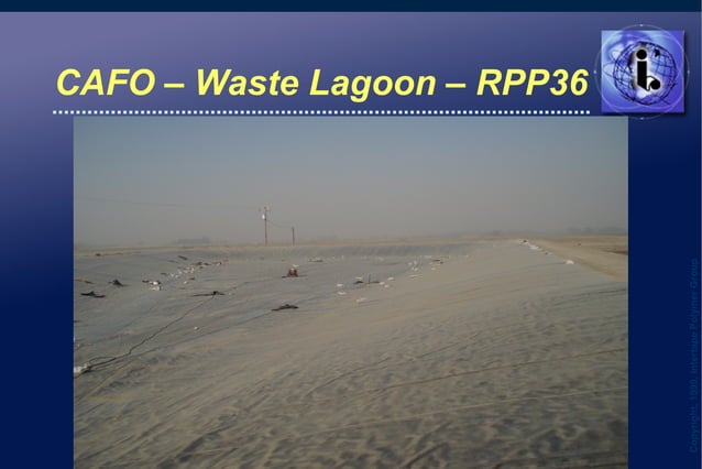 Reinforced Polypropylene (RPP) and Reinforced Polyethylene (RPE) Liner ...