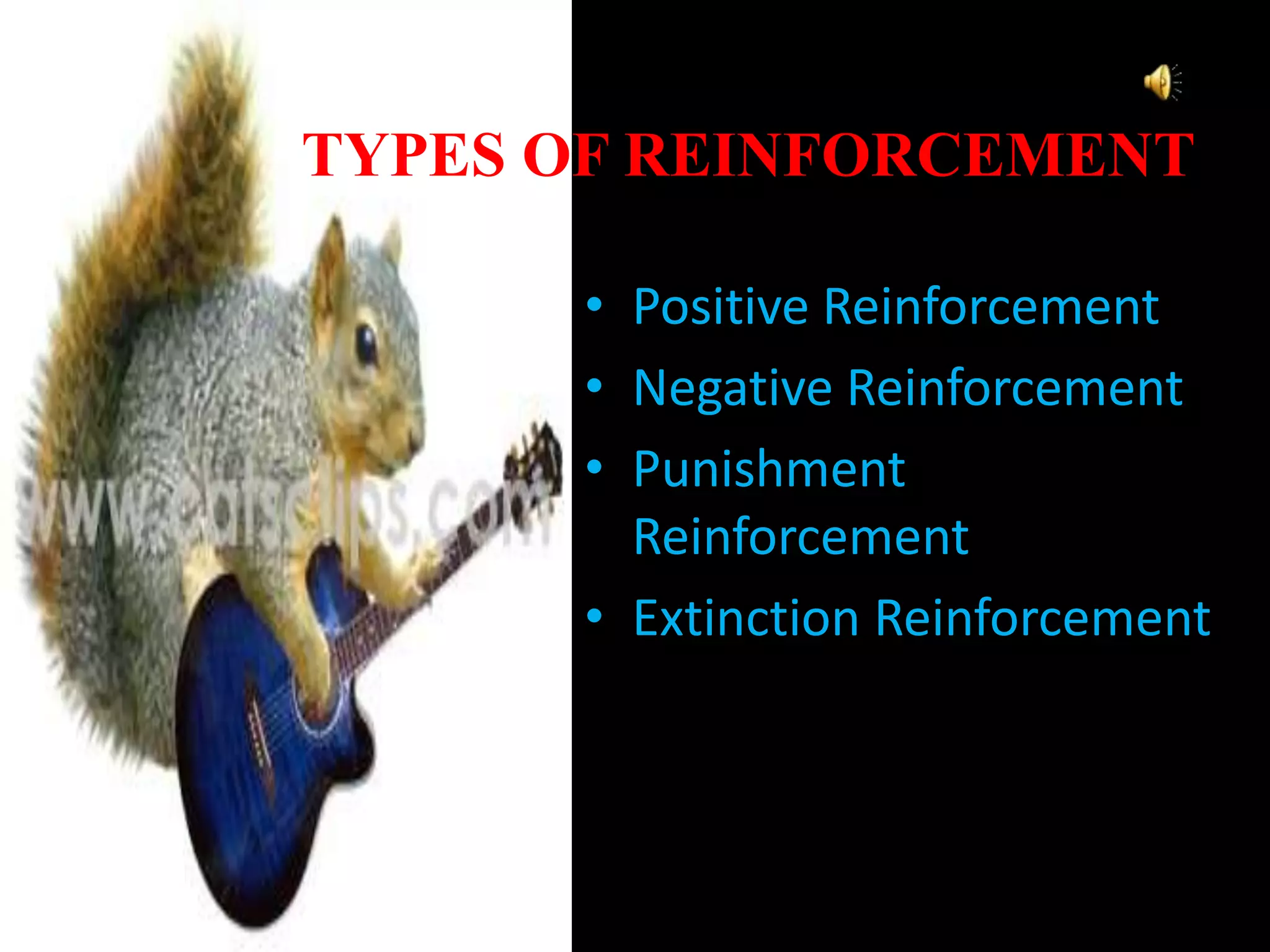 Reinforcement | PPTX
