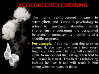 Reinforcement | PPTX