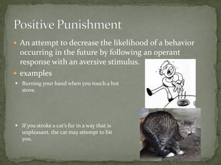 Reinforcement and punishment | PDF
