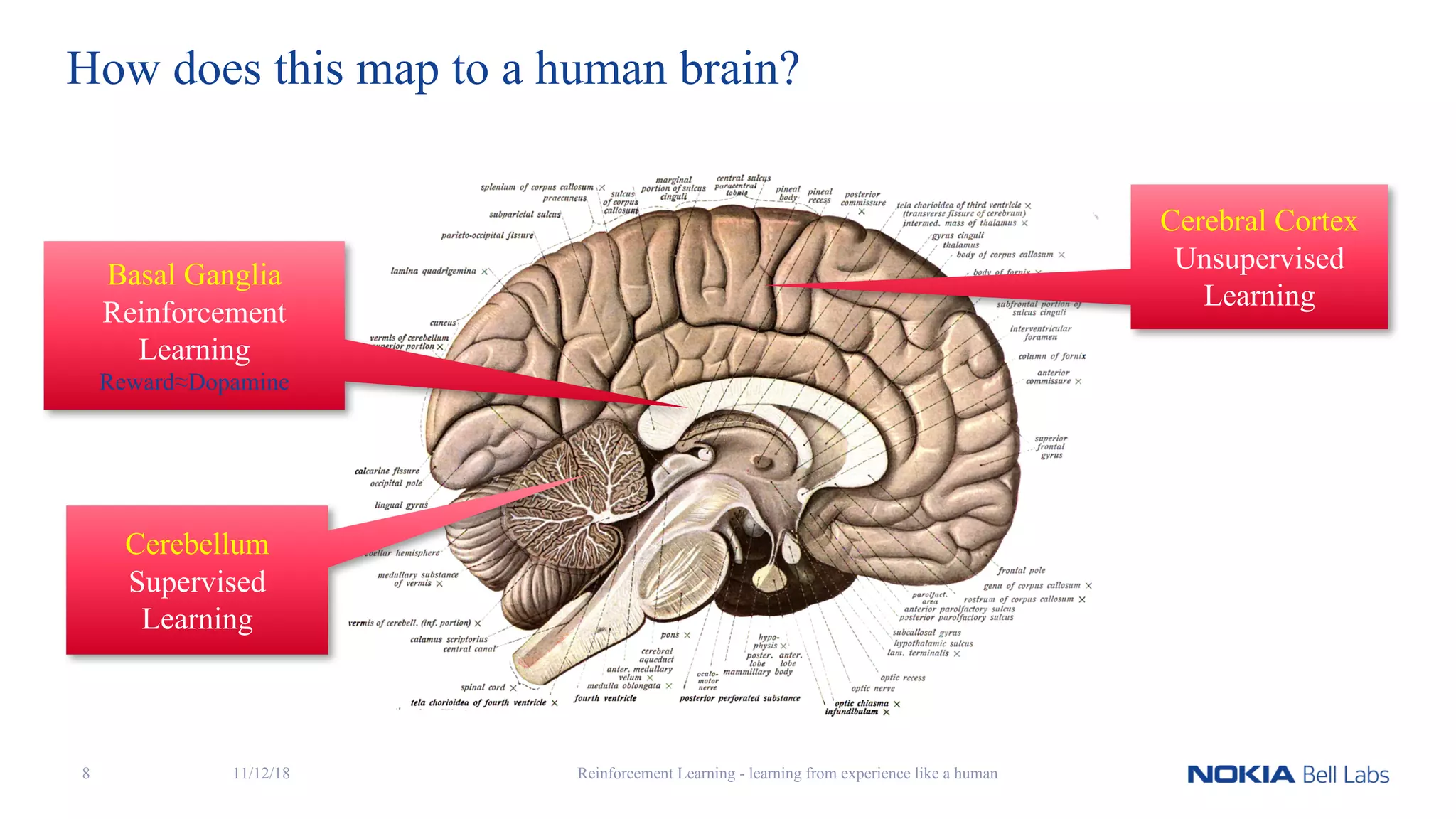 Reinforcement Learning - Learning from Experience like a Human | PPT