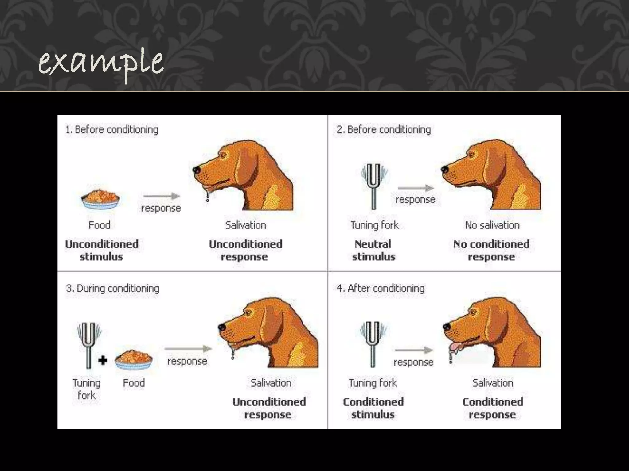 Reinforcement motivation theory | PPTX