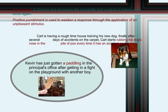 Reinforcers and punishment | ODP | Parenting | Family and Relationships