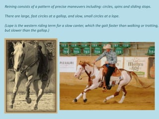 Reining | PPTX | Equine Sports | Sports