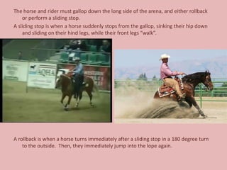 Reining | PPTX | Equine Sports | Sports