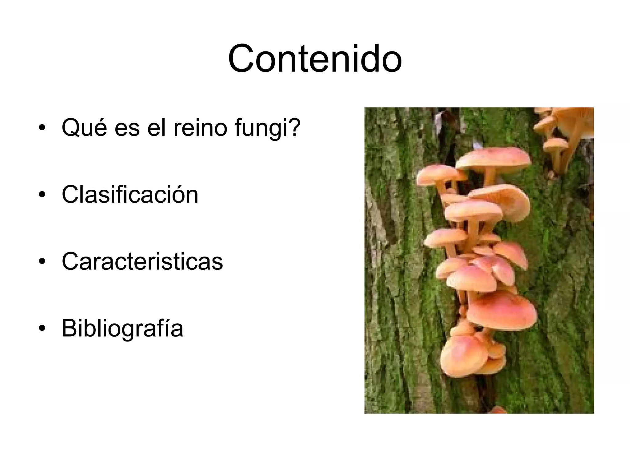 Reino Hongos | PPT