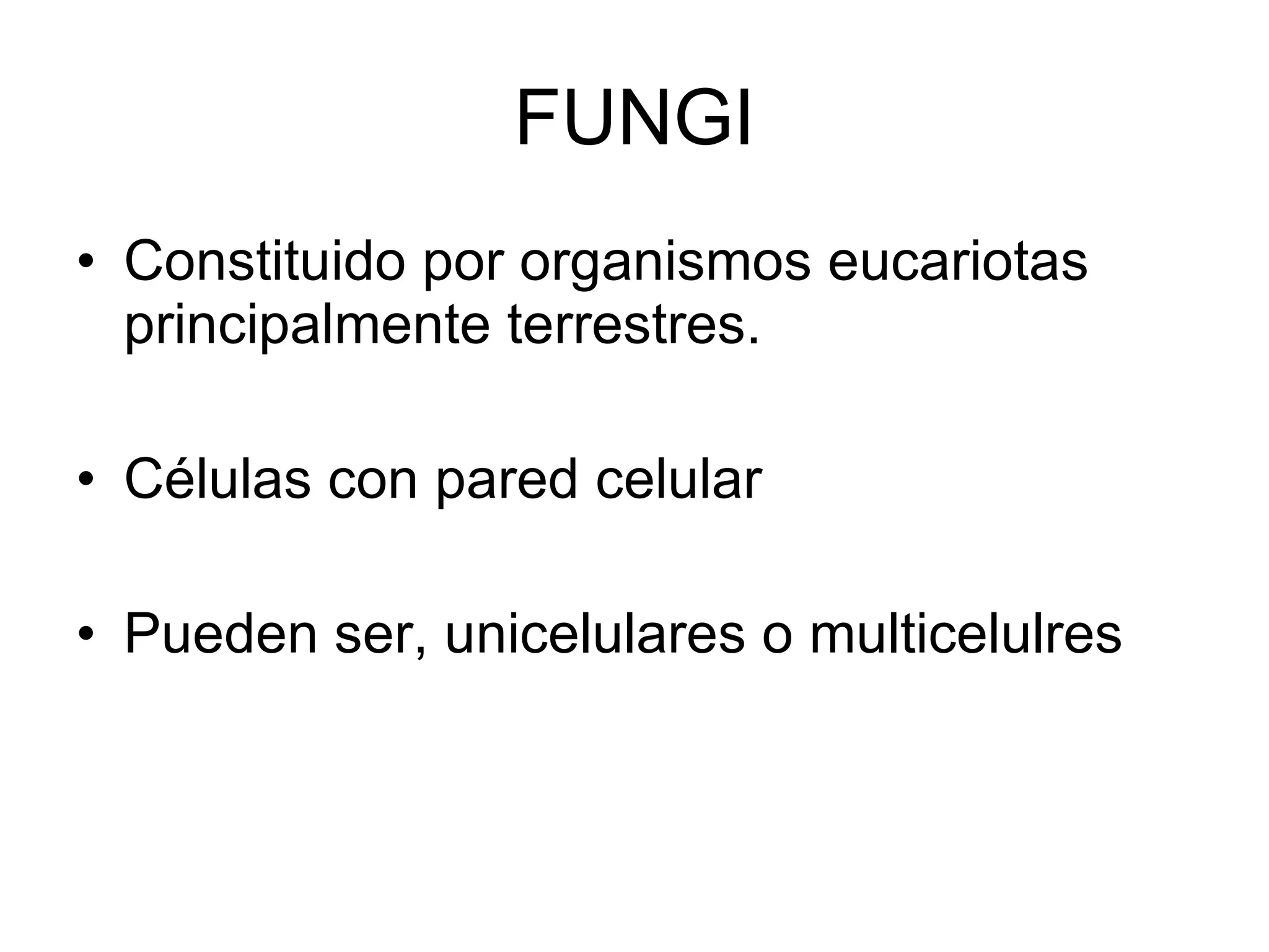 Reino Hongos | PPT