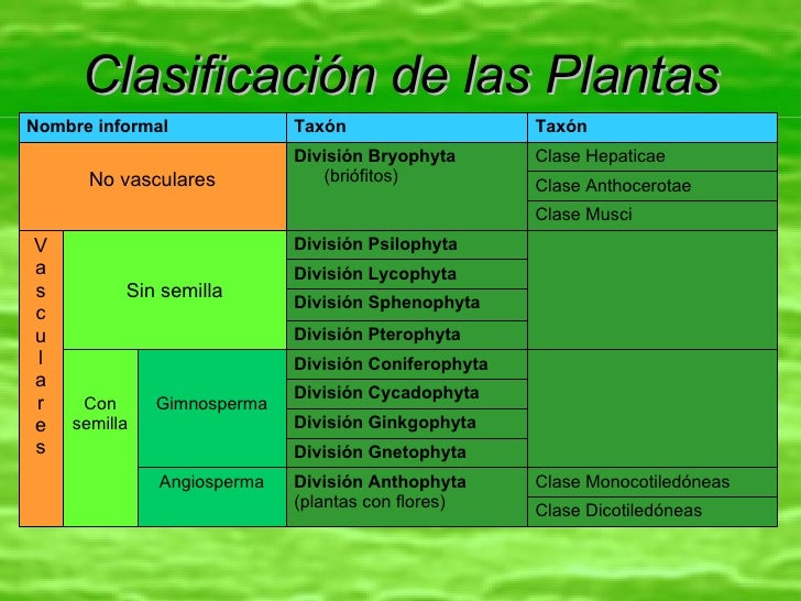 Taxonomía de las plantas Botánica integra
