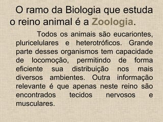Reino animal | PPT