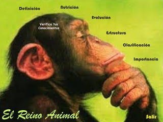 Reino animal | PPS