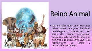 Reino Animal | PPTX
