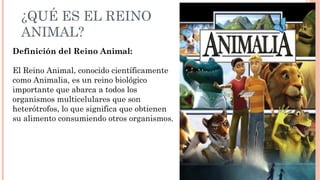 Reino Animal las diviciones del reino animal | PPSX