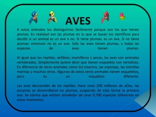 Reino animal... presentacion | PPT